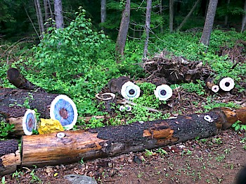 Enchanted Forest Installation | Visual Arts | Katonah Art Center